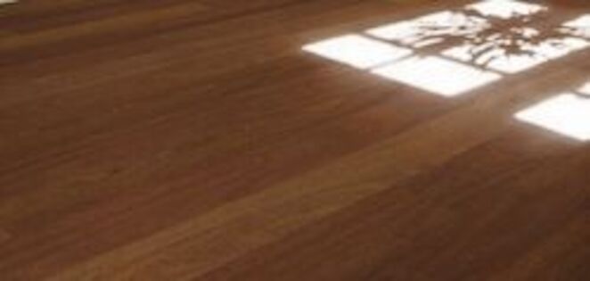 Bengeltje Basralocus hout | Natuurlijk hout